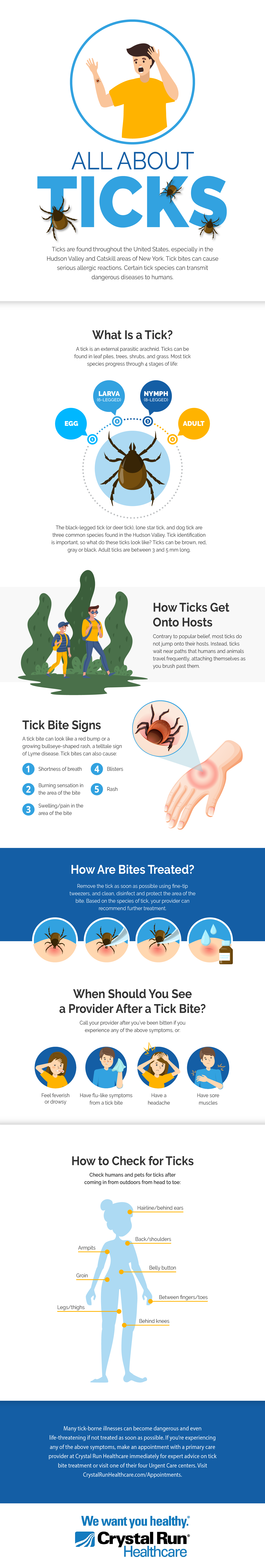 All About Ticks: What You Need to Know About Ticks